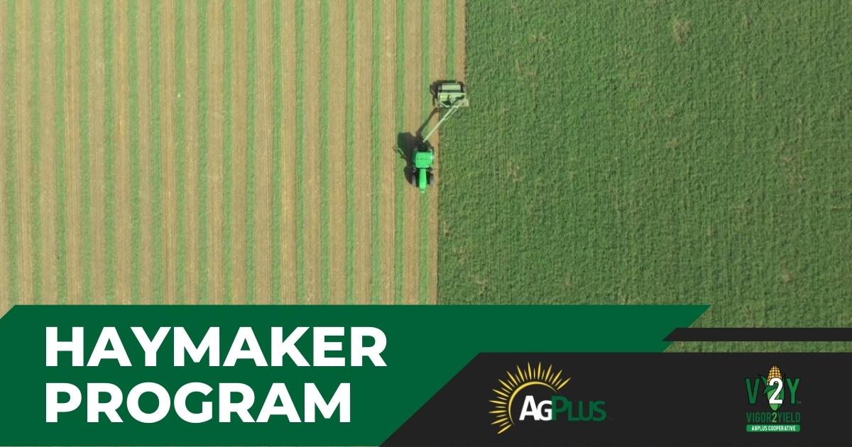 Alfalfa Haymaker Program